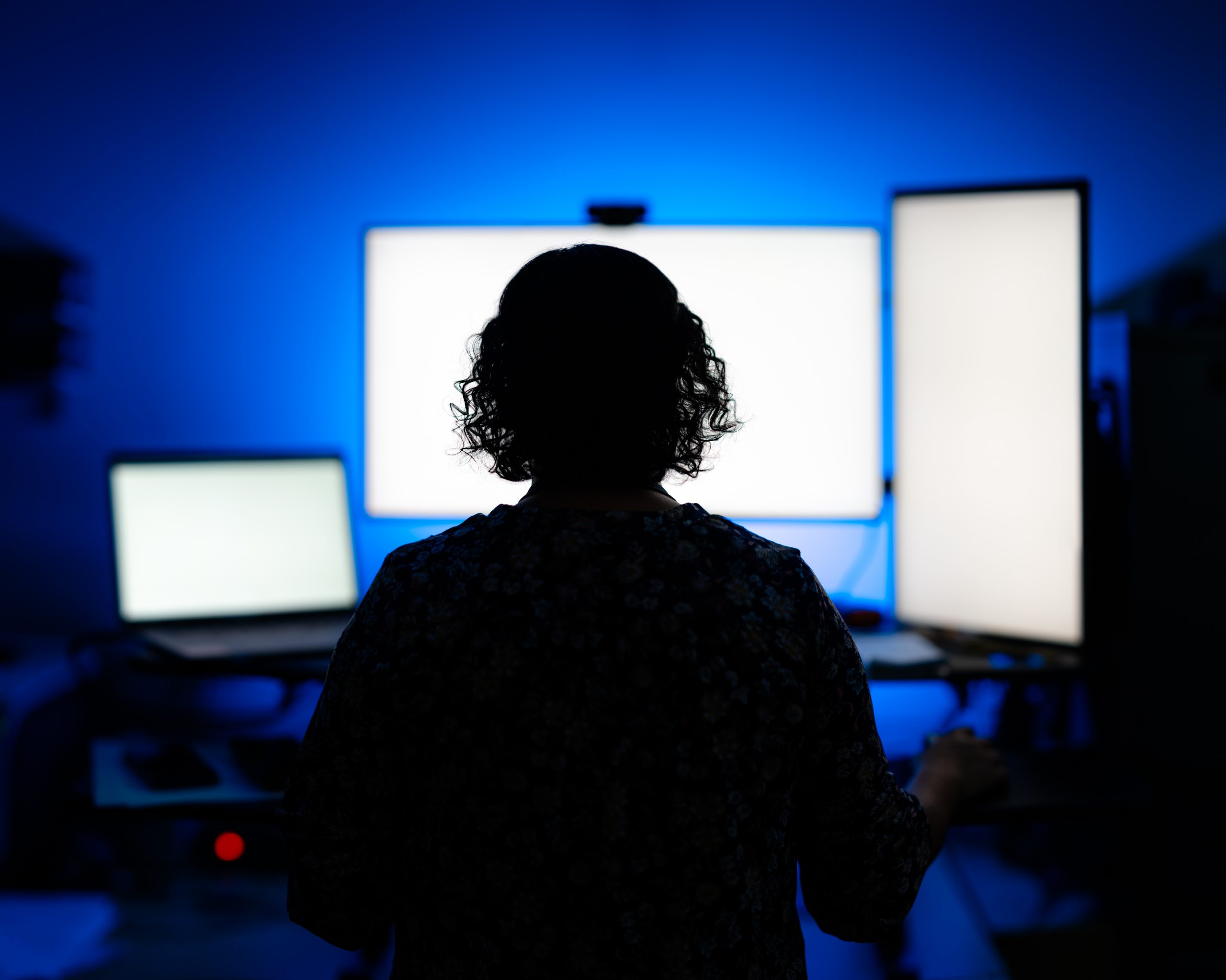 Safeguarding the Nation With Untitled Goose Tool - CSIAC