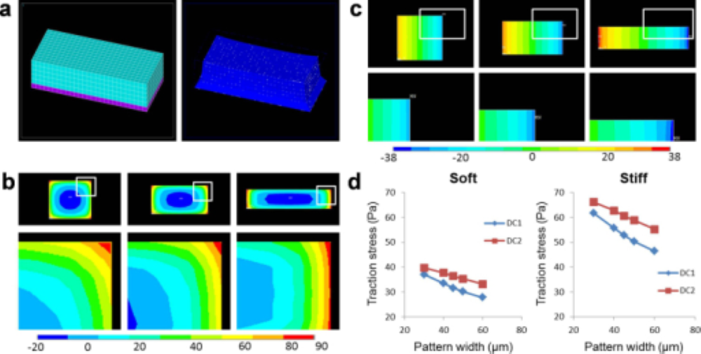 Graph Exploitation Symposium 2024 - CSIAC